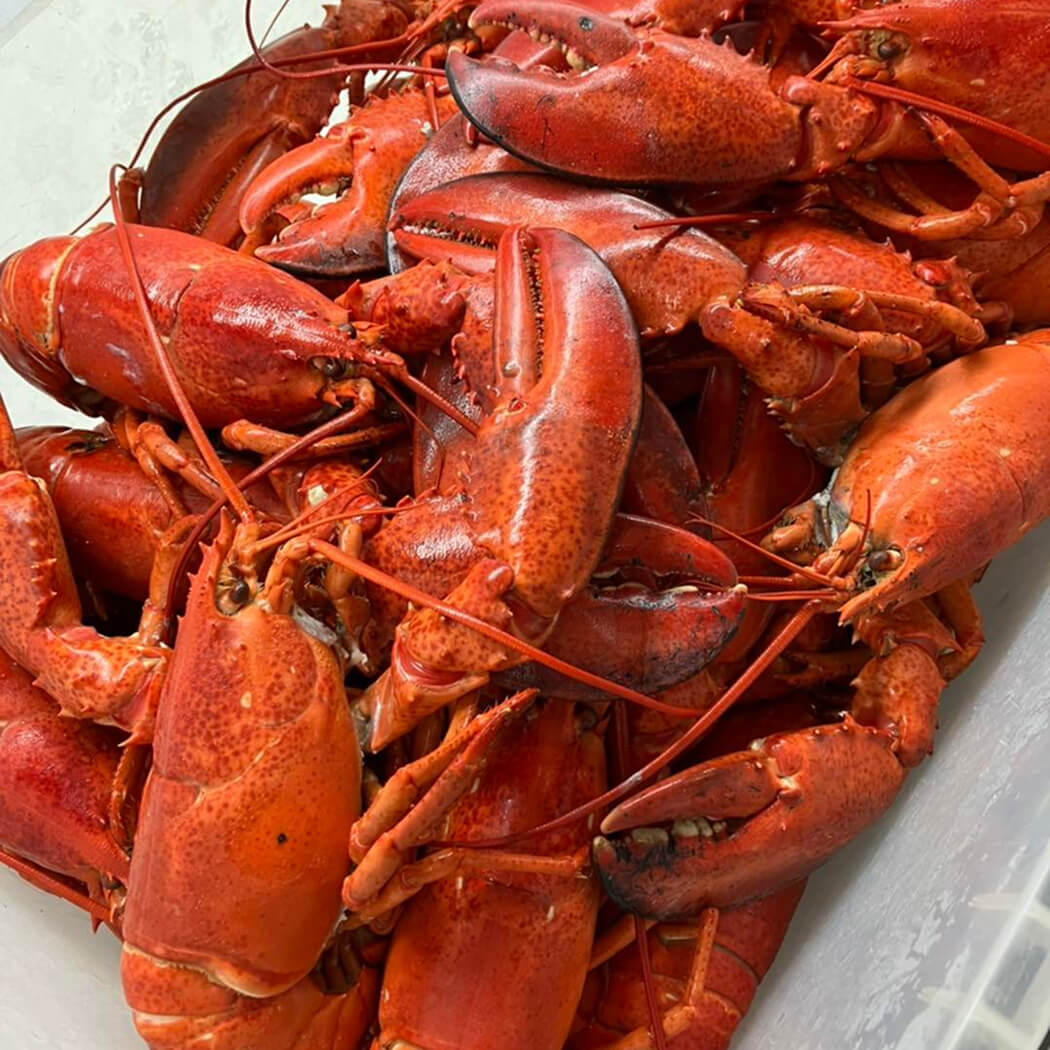 Shop Local - Baie Sainte-Marie