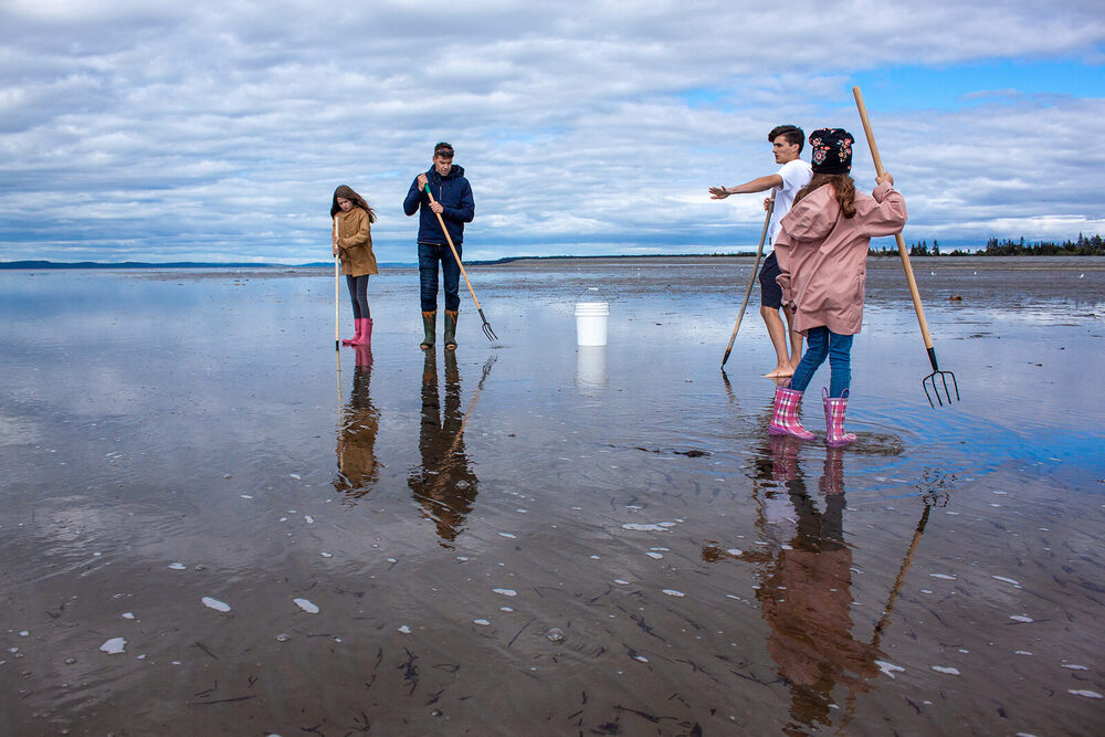 Clam Digging - Baie Sainte-Marie